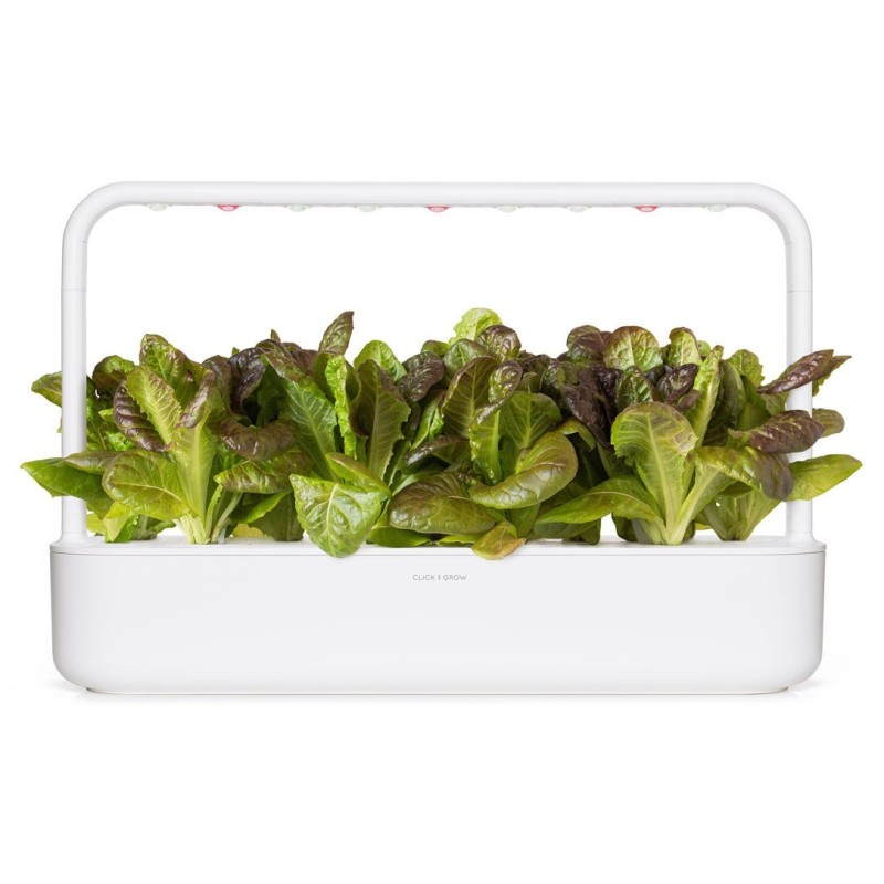 Click & Grow Smart Refill Punane Rooma salat 3tk