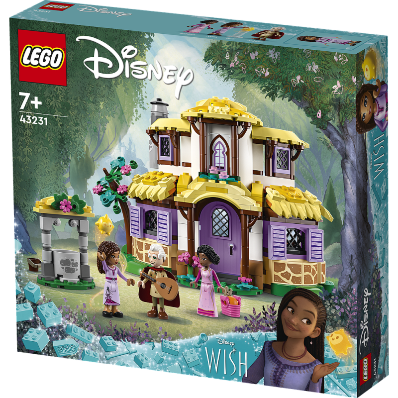 LEGO Disney Asha's Country House